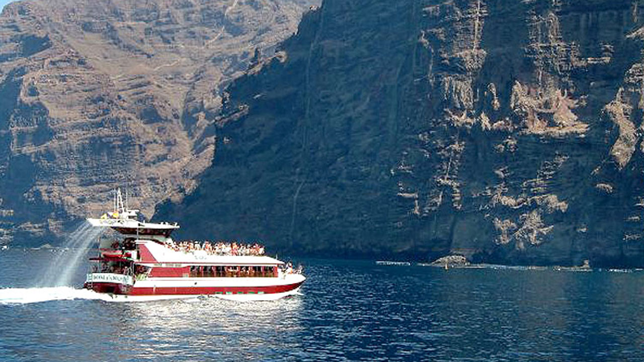 Royal Delfin (3 Hours) - Best Excursions Tenerife